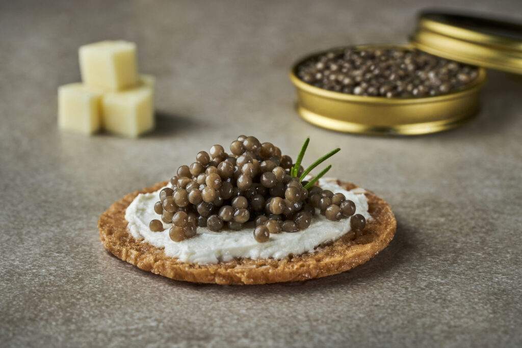 Cellmeat raised 17.4B KRW in Series A funding - WOWTALE