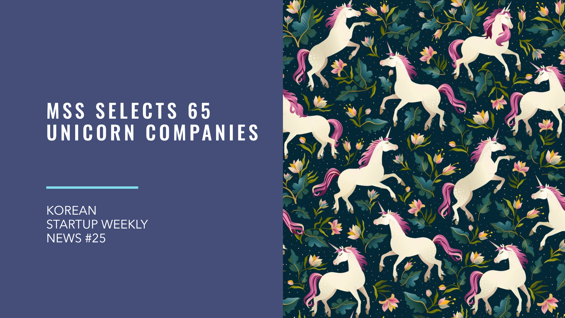 MSS Selects 50 Baby Unicorns and 15 Preliminary Unicorns