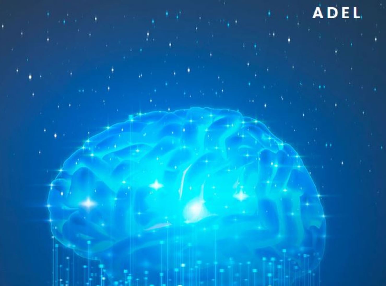 ADEL Secures 17 Billion KRW in Series B Bridge Round for Alzheimer's ...